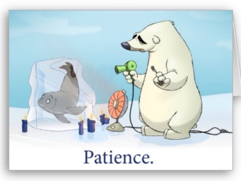 Patience Is A Needed Trait In Training | Iron Fit Personal Training